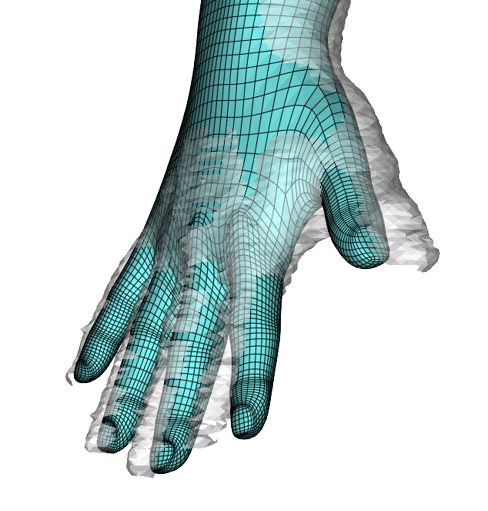 UMTRI BioHuman: CAESAR®