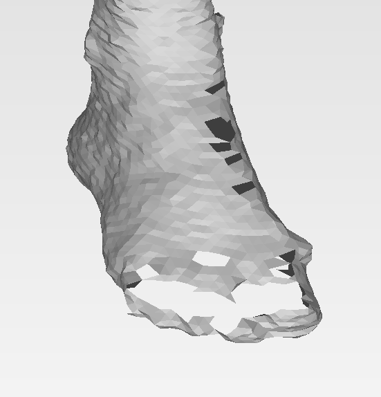 UMTRI BioHuman: CAESAR®