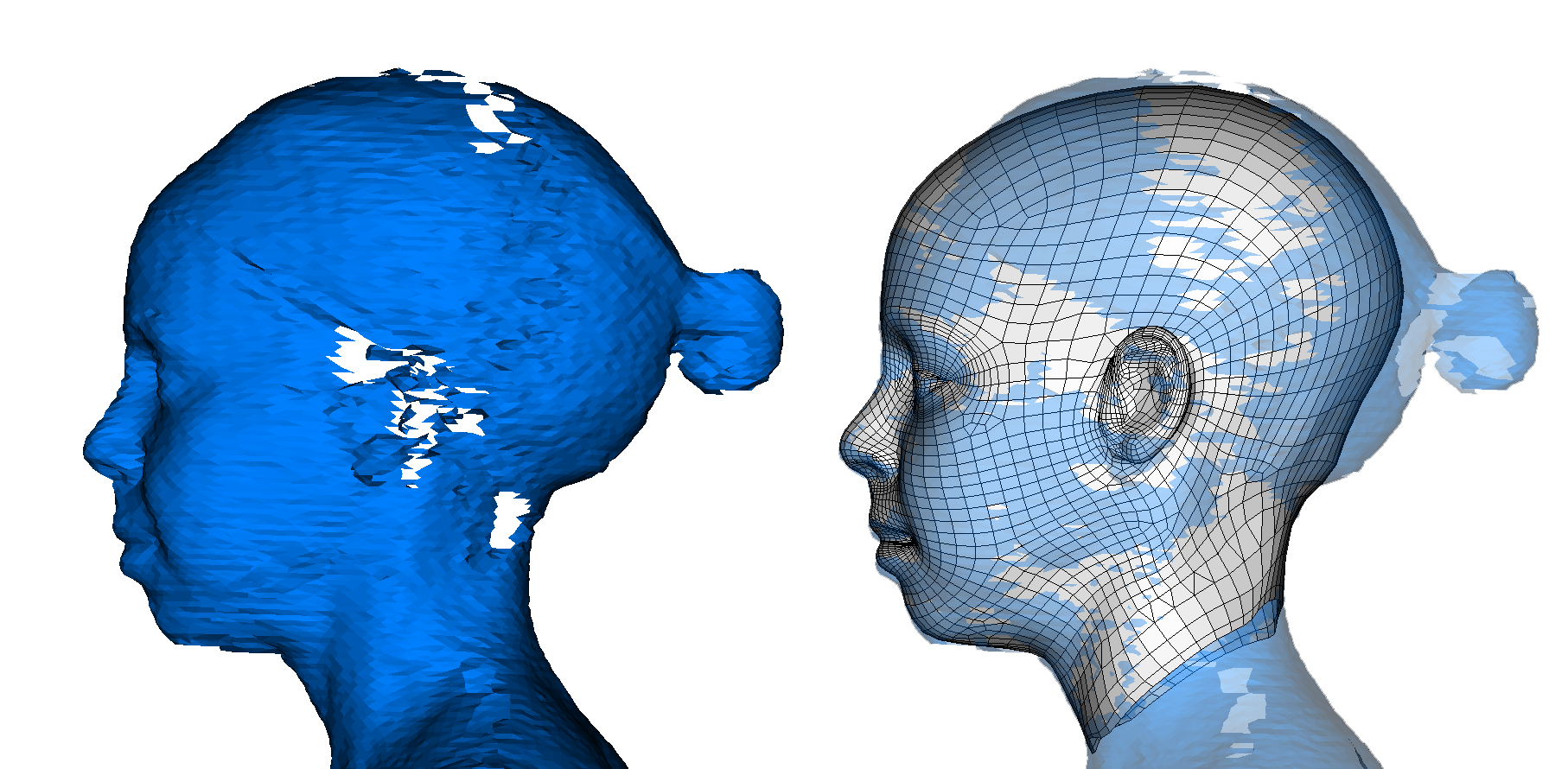 UMTRI BioHuman: CAESAR®